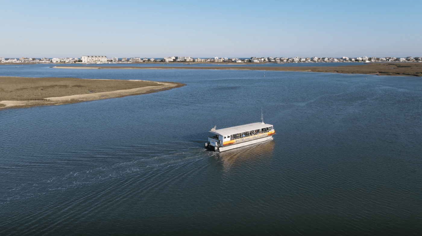 Inlet Bird Watching Tour | Sunset & Sealife Cruises in Murrels Inlet, SC